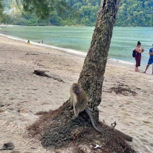 Best Penang Beaches to Visit (Fun Activities & Beautiful Scenery)