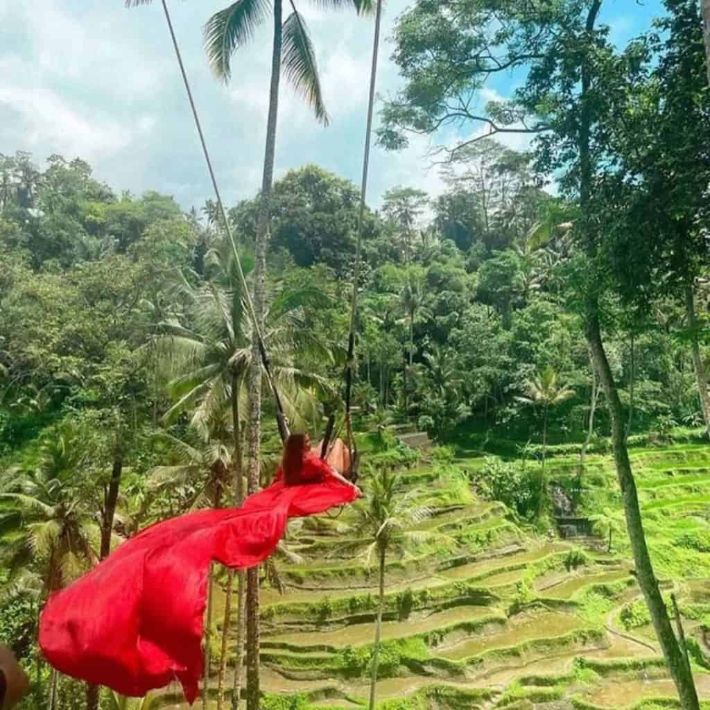 13 Best Bali Swings: From Jungle, Rice Paddies to Waterfalls