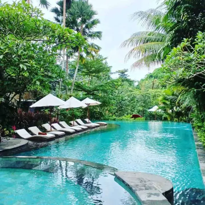 Ubud Bali Travel Guide: What to See, Do and Eat in 2023