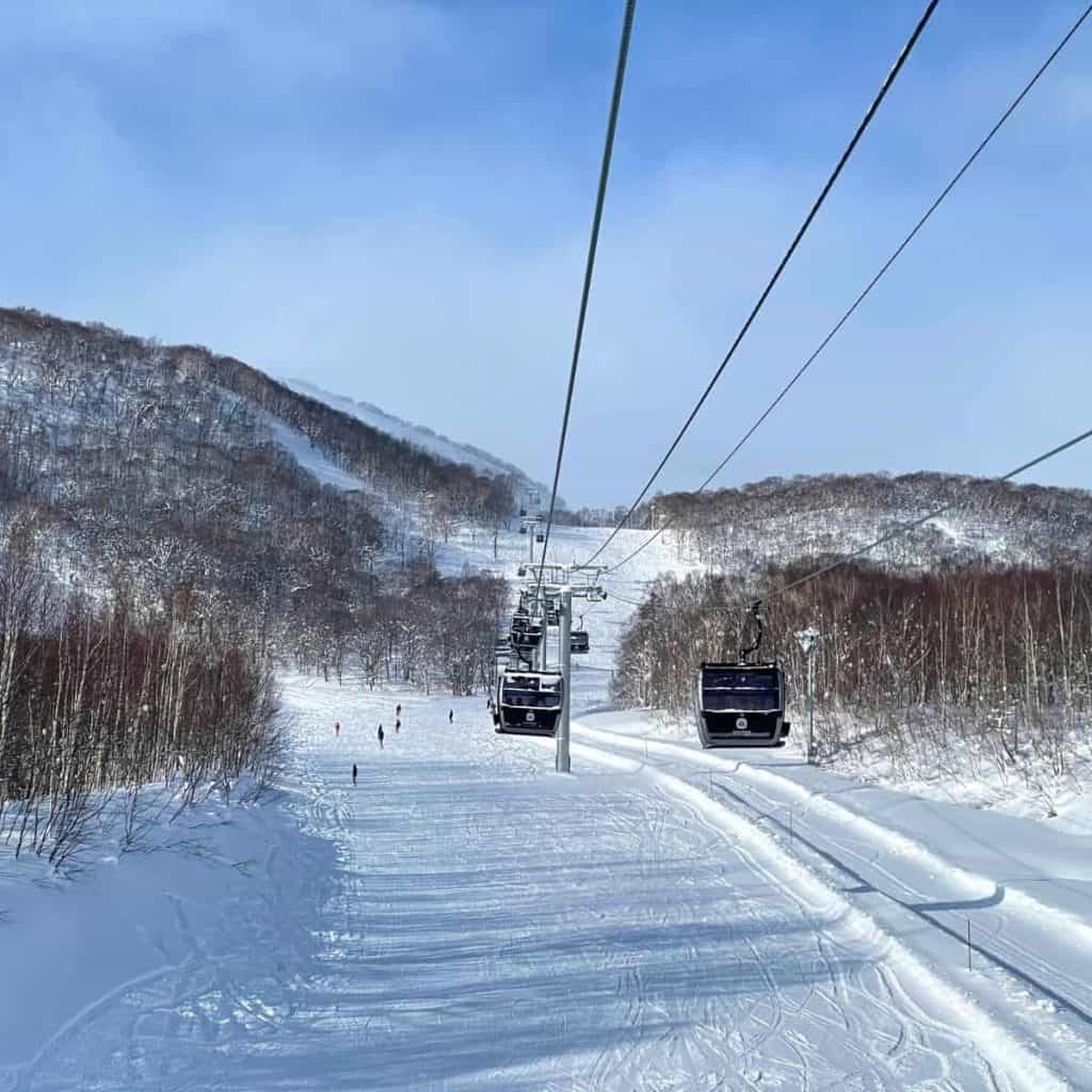 Best Time To Visit Niseko in Winter to Ski (Snow, Price and Crowd)