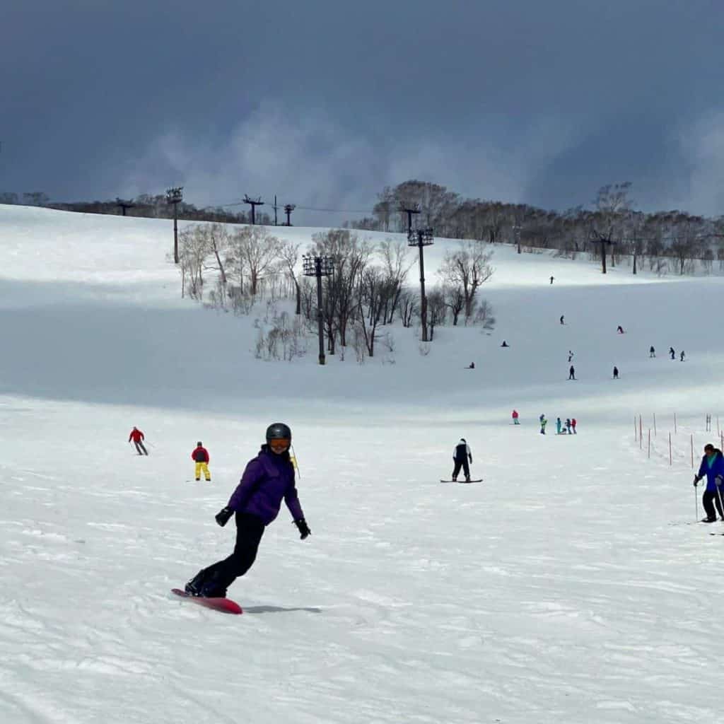 Best Time To Visit Niseko in Winter to Ski (Snow, Price and Crowd)